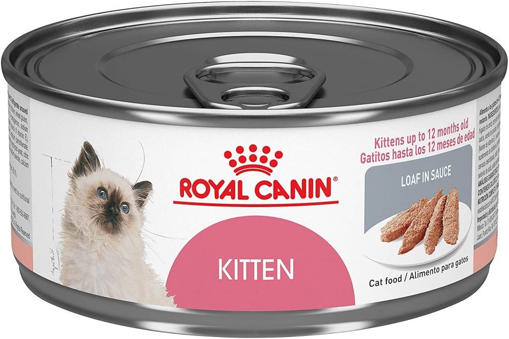 10 Best Kitten Foods of 2021 - Best Cat Foods Advisor